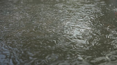 Closeup Raindrops Falling Into Puddle On Stock Footage Video (100% ...