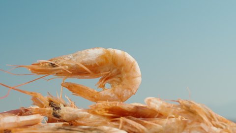 Boiled Shrimp Rotates On Mountain Shrimp Stock Footage Video (100% ...
