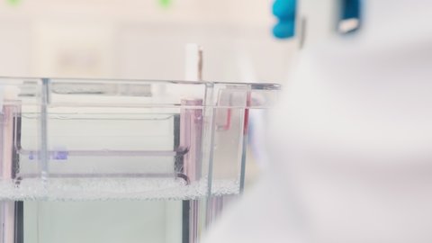 Work On Samples Substances Carried Out Stock Footage Video (100% ...