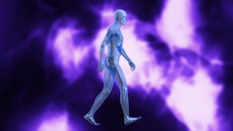 Animation Human Body Model Walking Against Stock Footage Video (100% ...