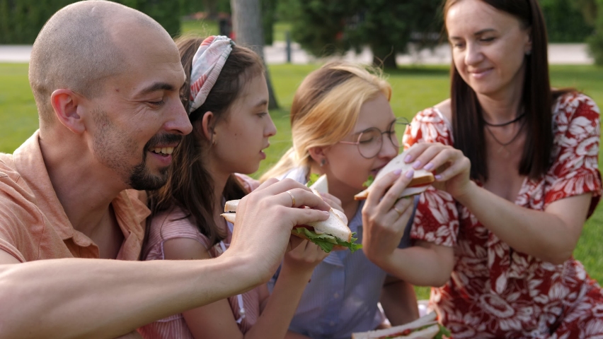333 Picnic in the park family eating sandwiches Stock Video Footage ...