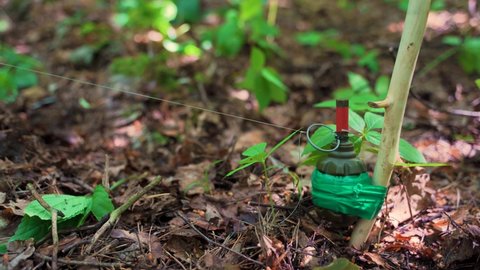 Grenade Tripwire Stretched Wire Enemy Trap Stock Footage Video (100% ...