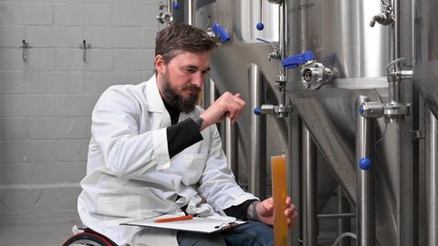 Professional Brewmaster Controlling Craft Beer Production Stock Footage ...