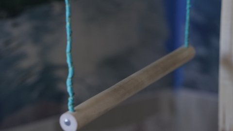 Wooden Crossbar On Swing On Makeshift Stock Footage Video (100% Royalty ...