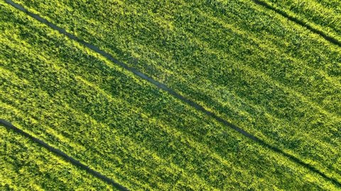 Farm Fields Background Texture 4 K Stock Footage Video (100% Royalty ...