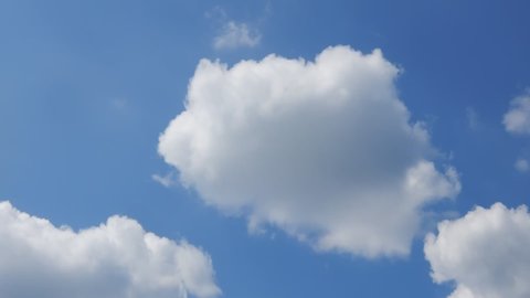 Stock Video Portfolio by davidek1 | Shutterstock