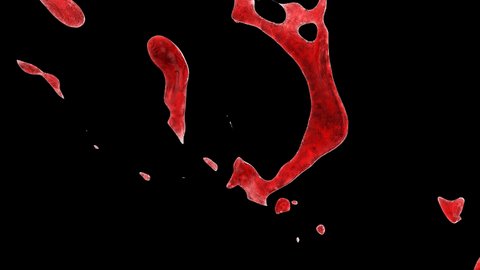 ฺ Sangre Splash Fondo Transparente. Animación: video de stock ...