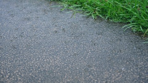 Puddle Heavy Rain Ripples Made By Stock Footage Video (100% Royalty ...