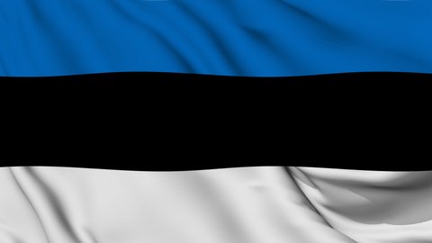Flag Estonia National Flag Estonia 4k Stock Footage Video (100% Royalty ...