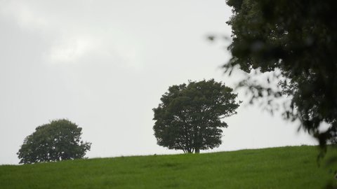 Ireland Storm Winds Blow Through Scenic Stock Footage Video (100% ...