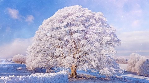 Animated Relaxing Loop Video Footage Stock Footage Video (100% Royalty ...