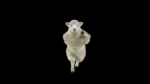 Sheep Dancing Animal 3d Rendering Animation Stock Footage Video (100% ...