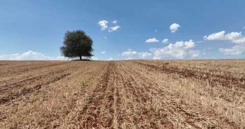 Farm Fields Background Texture 4 K Stock Footage Video (100% Royalty ...