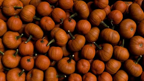 Pumpkins Falling Halloween Transition 4k Animation Stock Footage Video ...
