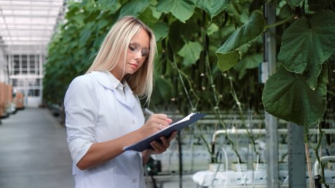 Female Botanical Scientist Analyzing Plant Growing Stock Footage Video ...