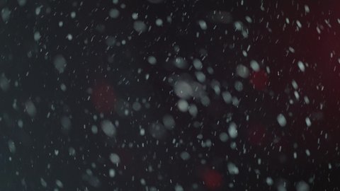 Real Snow Falling Snow Isolated On Stock Footage Video (100% Royalty ...