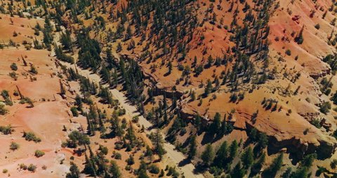 Scarce Pine Trees Growing On Rocky Stock Footage Video (100% Royalty ...