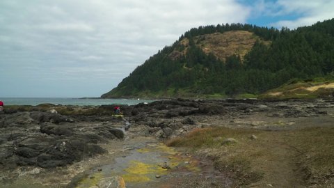 Rugged Beach On Oregon Coast Bluff Stock Footage Video (100% Royalty ...