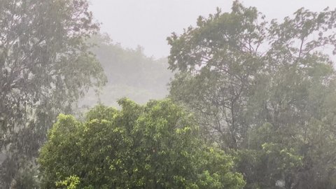 Heavy Rain Strong Wind Blowing Trees Stock Footage Video (100% Royalty ...