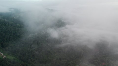 Top View Morning Mist Viewpoint Layers Stock Footage Video (100% ...