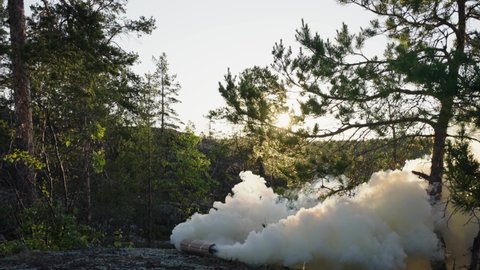 Smoke Bomb Covering Tree Branches Sunset Stock Footage Video (100% ...
