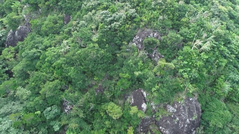 Aerial View Nosoko Maape On Ishigaki Stock Footage Video (100% Royalty ...