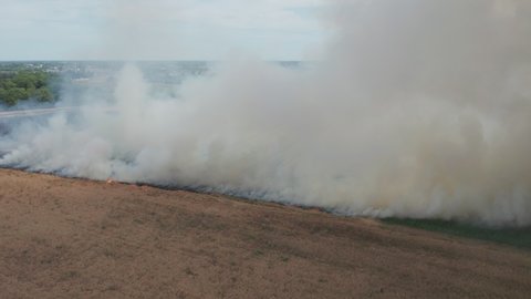Burning Agricultural Field Huge Grain Fire Stock Footage Video (100% ...