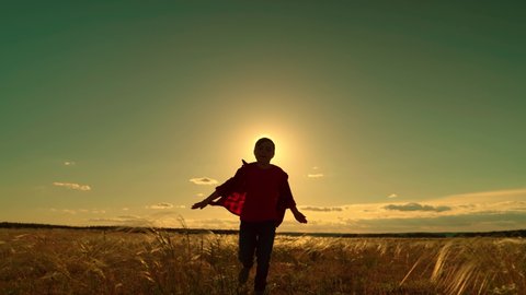 Silhouette Child Boy Running Sunset Child Stock Footage Video (100% ...