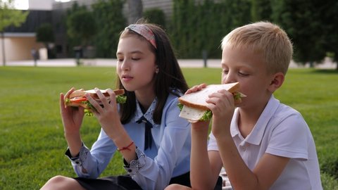 Classmates Eat Fresh Ham Lettuce Sandwiches Stock Footage Video (100% ...