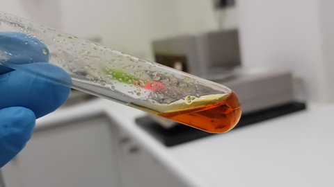 Examining Biological Specimen Test Tubes Microbiology Stock Footage ...