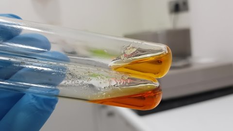 Examining Biological Specimen Test Tubes Microbiology Stock Footage ...