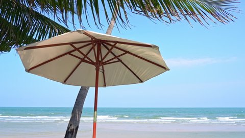 Parasol Palm Tree On Tropical Beach Stock Footage Video (100% Royalty ...