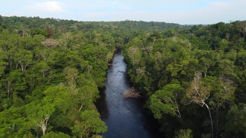 River Amazon Rainforest Rio E Floresta Stock Footage Video (100% ...
