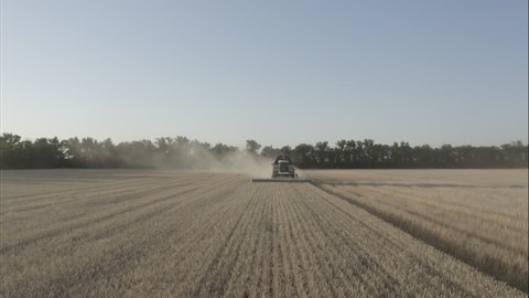 Combine Harvesting Wheat Top View Wheatfield Stock Footage Video (100% ...