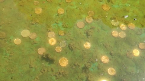 Underwater Treasure Shiny Ancient Gold Coins Stock Footage Video (100% ...