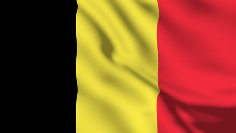 Belgium National Flag Video 3d Belgium Stock Footage Video (100% ...