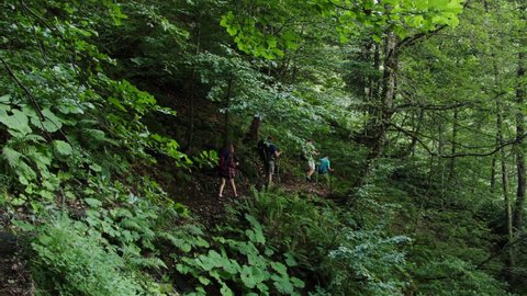 Group Students Walking By Hiking Trail Stock Footage Video (100% ...