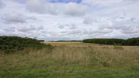 Scenic Countryside View Woodland Grass Meadows Stock Footage Video (100 ...