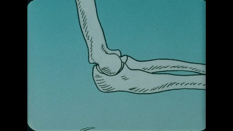 1990s Animation Skeletal Elbow Bends Back Stock Footage Video (100% ...