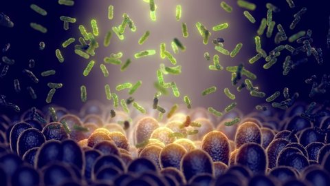 Animation Intestinal Bacteria Probiotics Beneficial Bacteria Stock ...