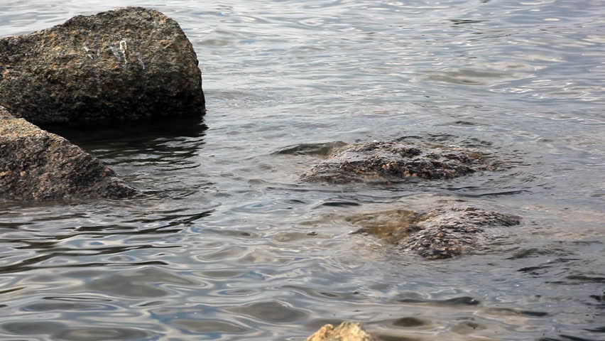 gentle waves shallow water against rocks Stock Footage Video (100% ...