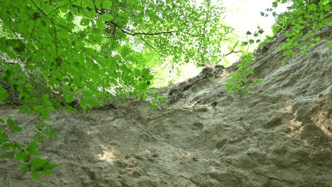 Tilt Down Cliff Face Forest Reveal Stock Footage Video (100% Royalty ...