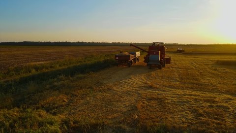 Cinematic Combine Harvester After Depositing Harvested Stock Footage ...