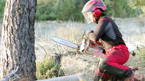 Woman Cutting Down Tree Chainsaw Spanish Stock Footage Video (100% ...