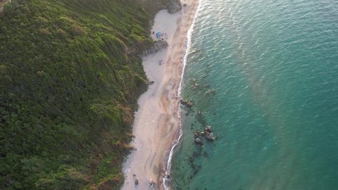 Beach Forest Aerial Tropical Beach Forest Stock Footage Video (100% ...