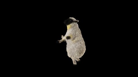 Sheep Dancing Animal 3d Rendering Animation Stock Footage Video (100% ...