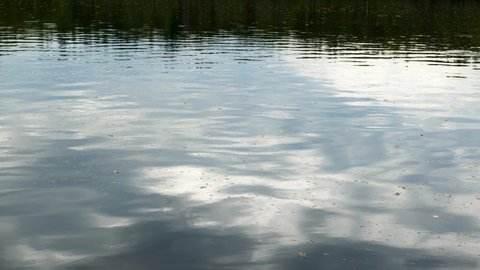 Ripples On Water Surface Reflection Trees Stock Footage Video (100% ...