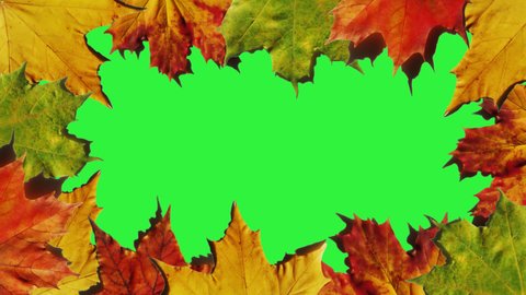 Autumn Leaves Border Alpha Channel Animation Stock Footage Video (100% ...