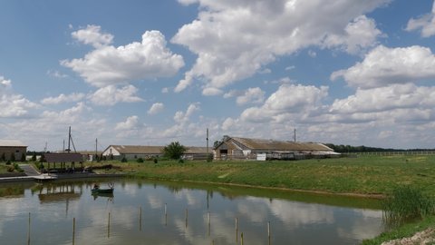Rural Poultry Farm Near Pond General Stock Footage Video (100% Royalty ...