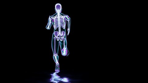 Skeleton System Running Man Bone Anatomy Stock Footage Video (100% ...